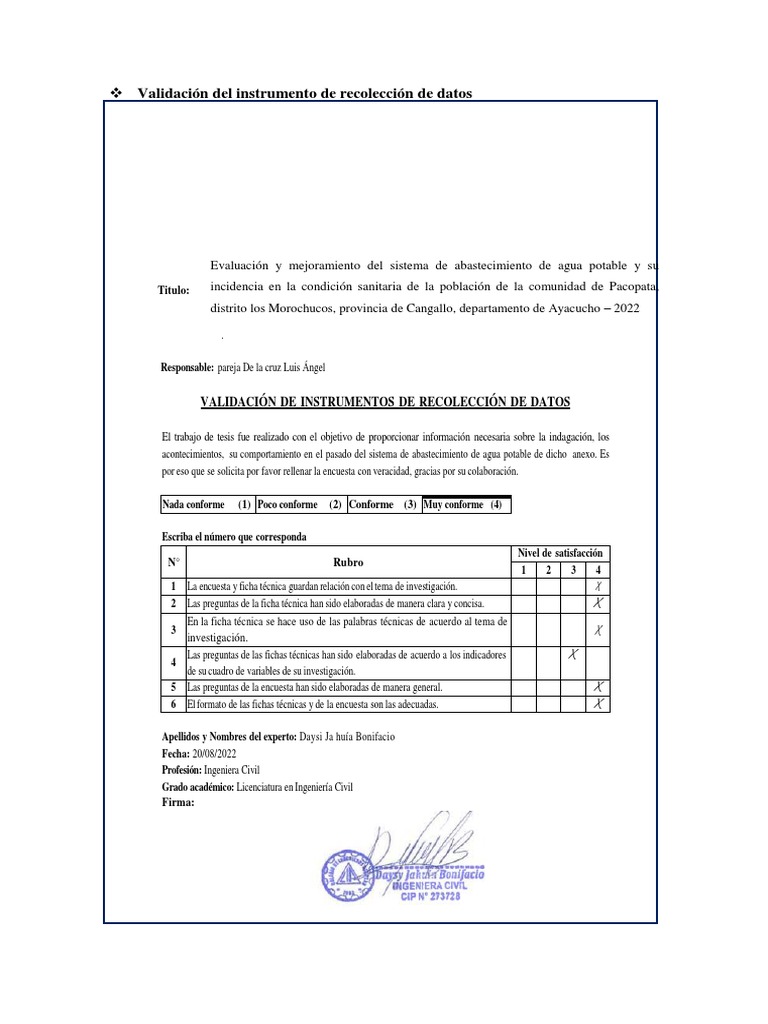 Validación Del Instrumento de Recolección de Datos | PDF