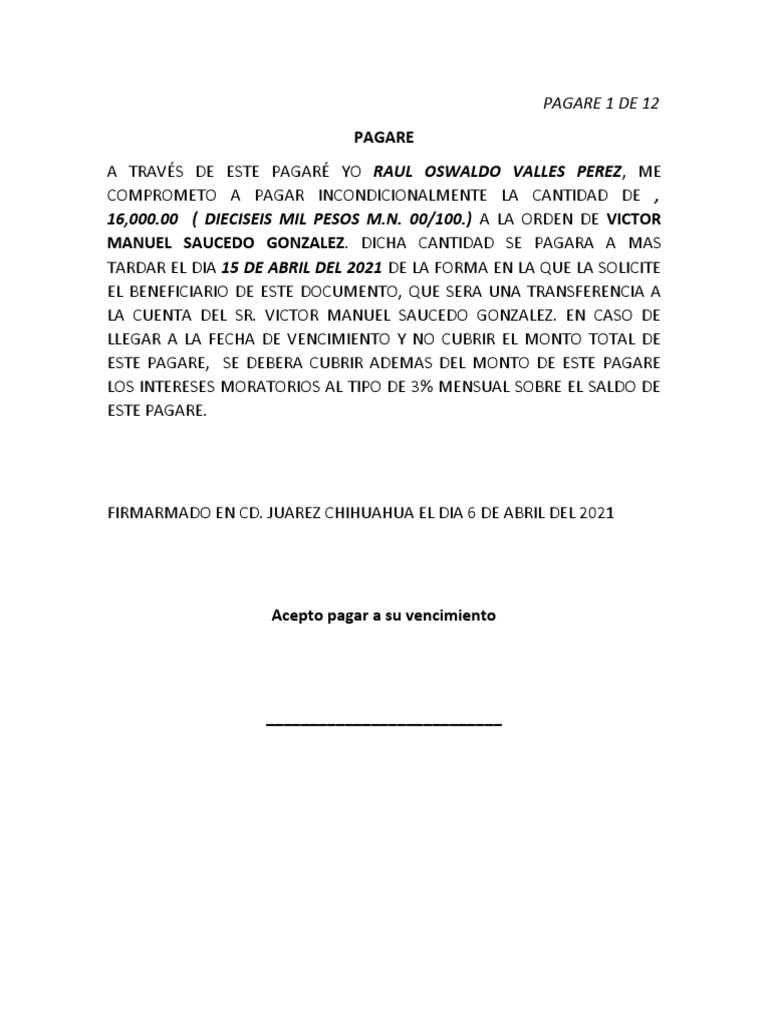 Formato Pagare | PDF