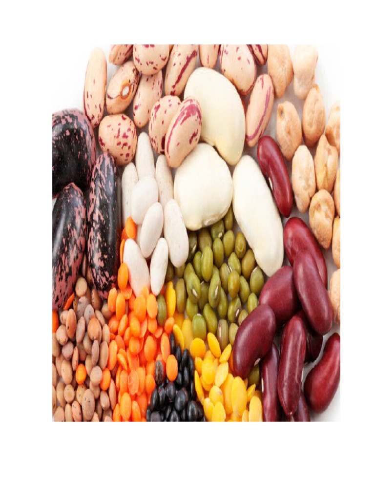 Leguminosas Del Buen Comer Pdf