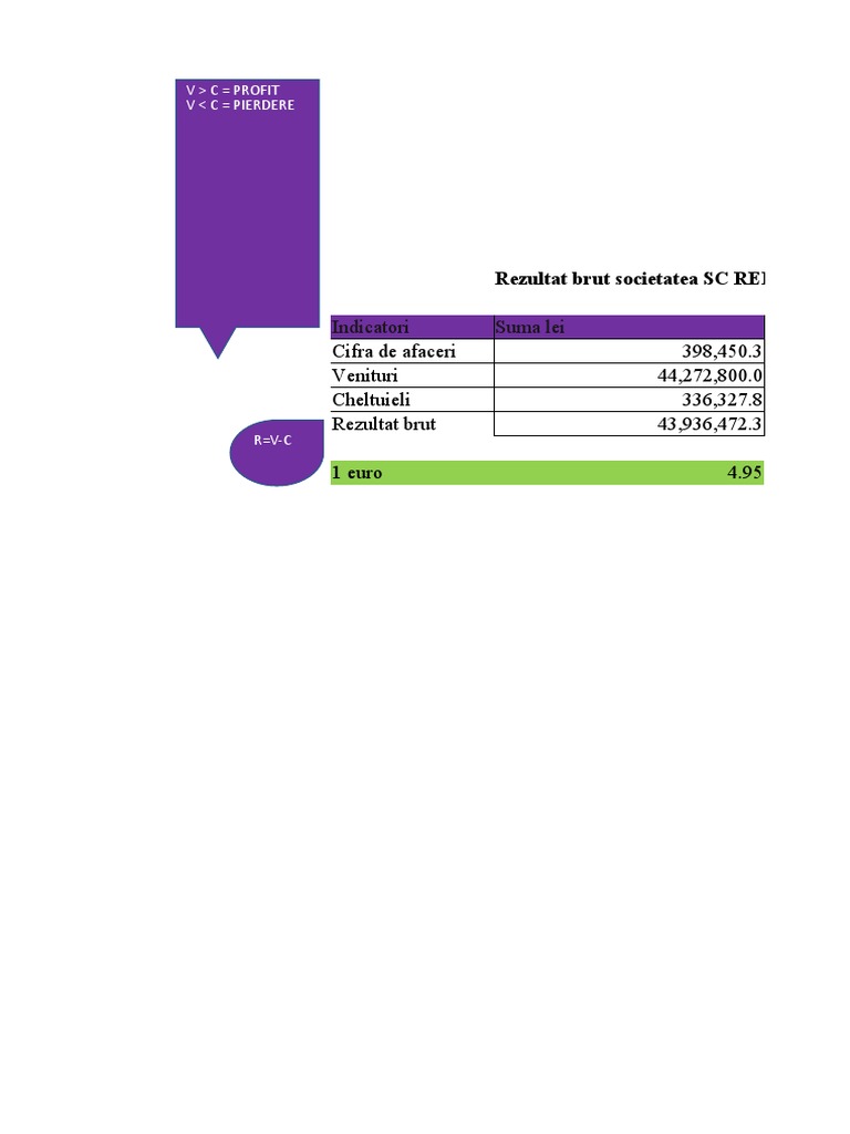 Proiect TAO Excel | PDF