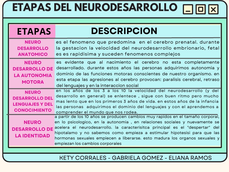 Etapas de Neurodesarrollo | PDF