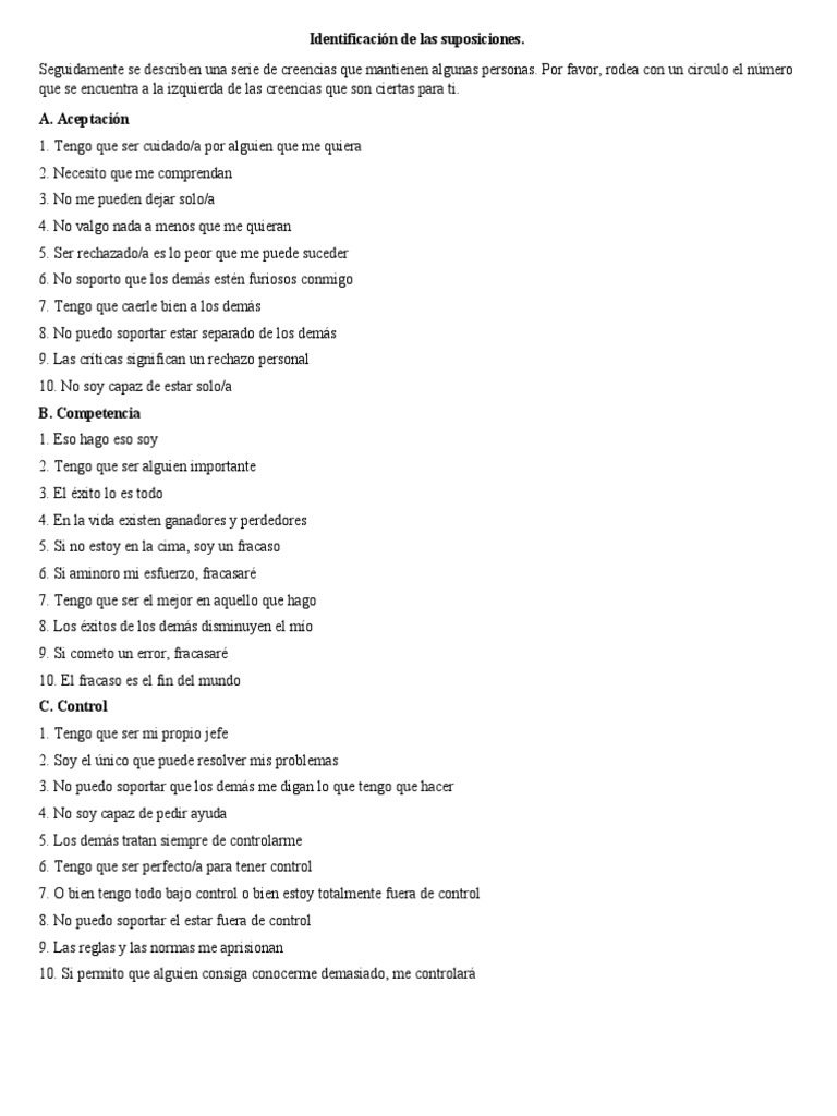 Anexo 5 Identificación de Las Suposiciones | PDF