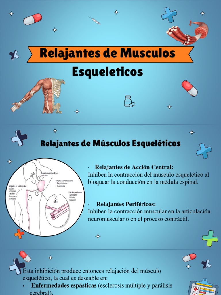 Relajantes Musculares | PDF | Medicina CLINICA | Drogas