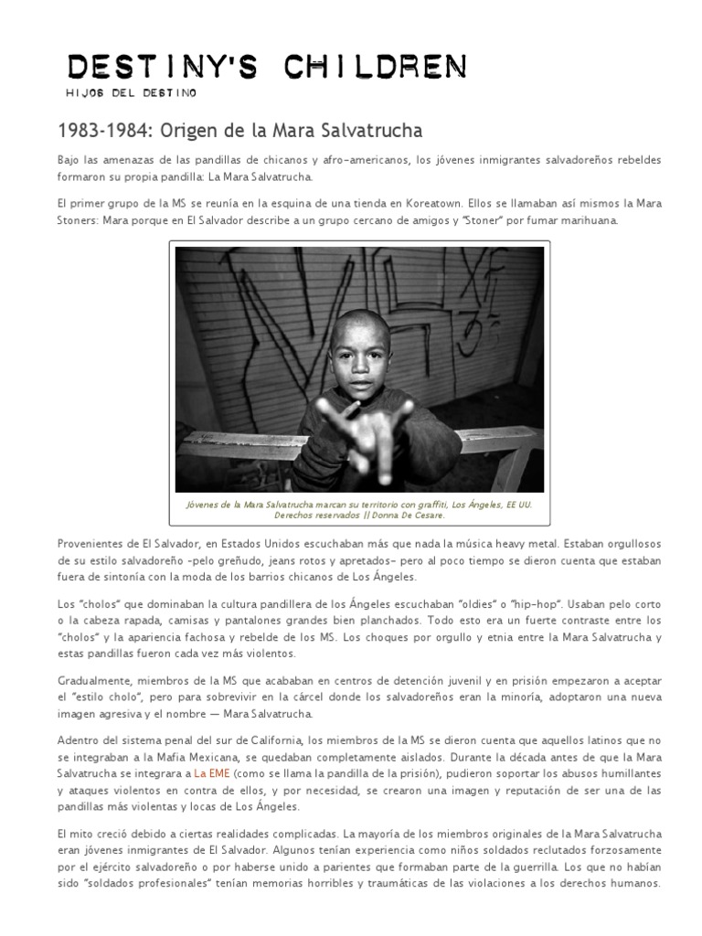 Origen de La Mara Salvatrucha - Destiny's Children | PDF | Sra. 13
