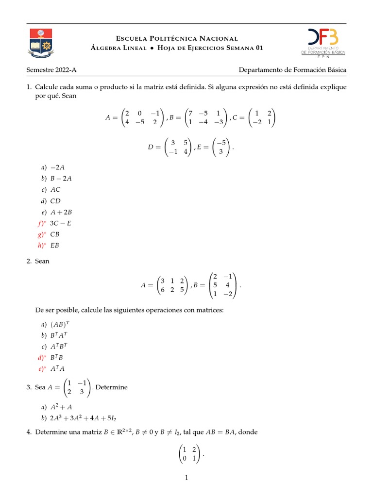 1.1 EXTRA Algebra - Ejercicios | PDF | Matriz (Matemáticas) | Funciones y mapeos