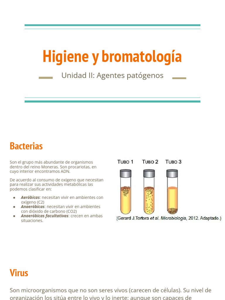 Agentes Patógenos en Alimentos | PDF | Virus | Levadura