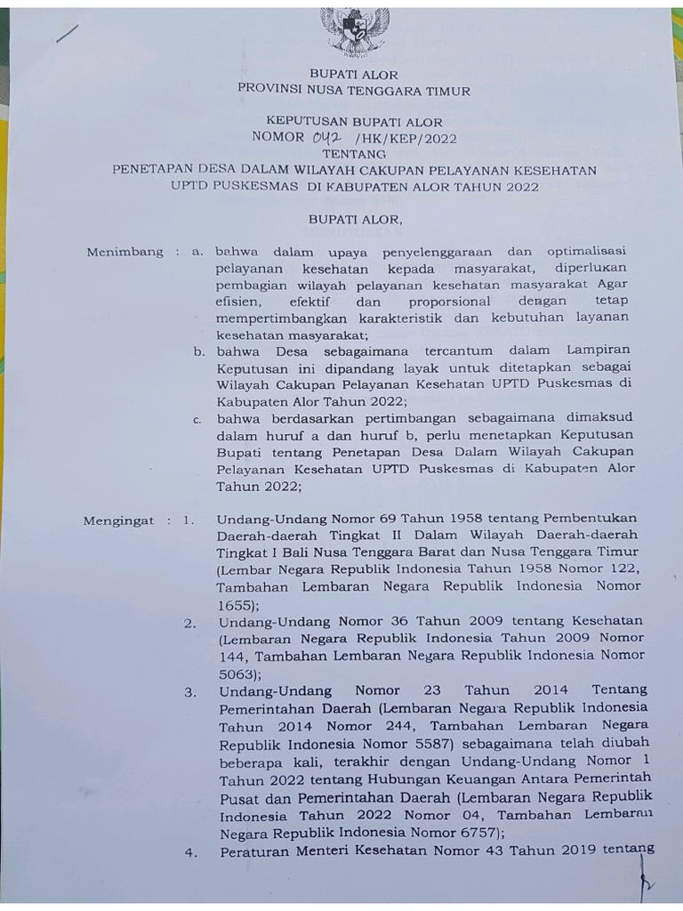 Sk. Wilayah Pelayanan Kesehatan | PDF