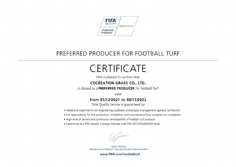 Certificado de La Fifa | PDF