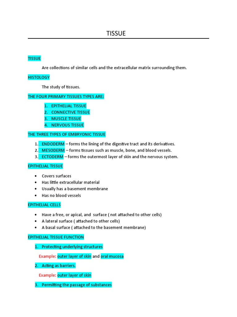 Tissue Reviewer | PDF | Epithelium | Connective Tissue