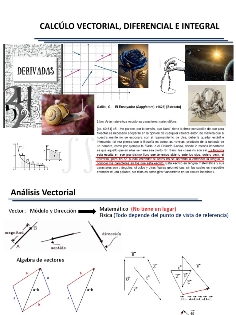 Unidad Uno - 1 - Calculo Vectorial, Diferencial e Integral | PDF | Vector Euclidiano | Degradado