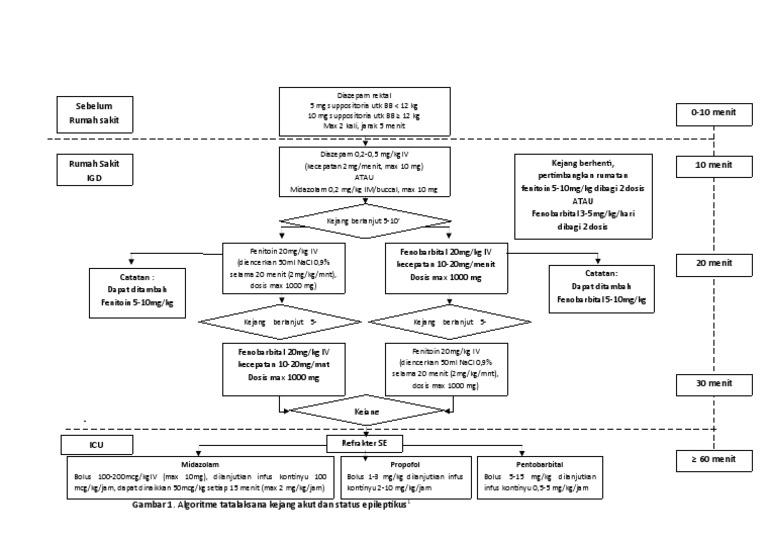 Algoritma Kejang Anak | PDF
