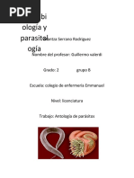 Trichuris Trichiura | PDF | Medicina | Epidemiología