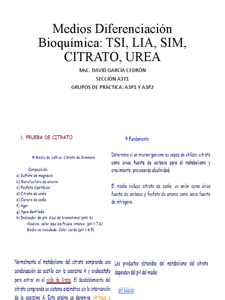 Composición y Fundamentos TSI LIA SIM CItrato Urea (1) | PDF