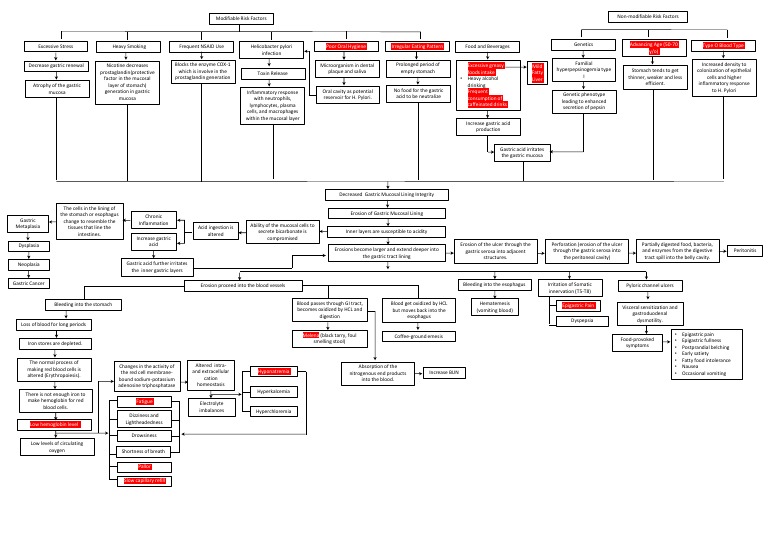 Patho Pud | PDF | Stomach | Digestive System