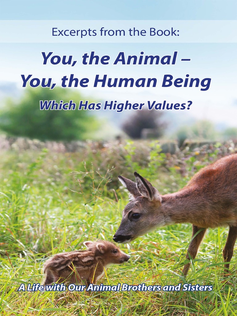You The Animal, You The Human Being - Which Has Higher Values? Life ...