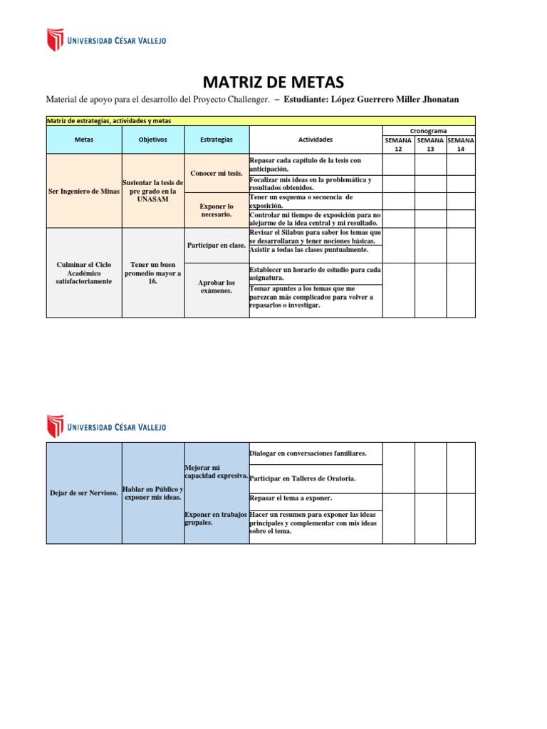 Matriz de Metas - Miller Lopez Guerrero | PDF