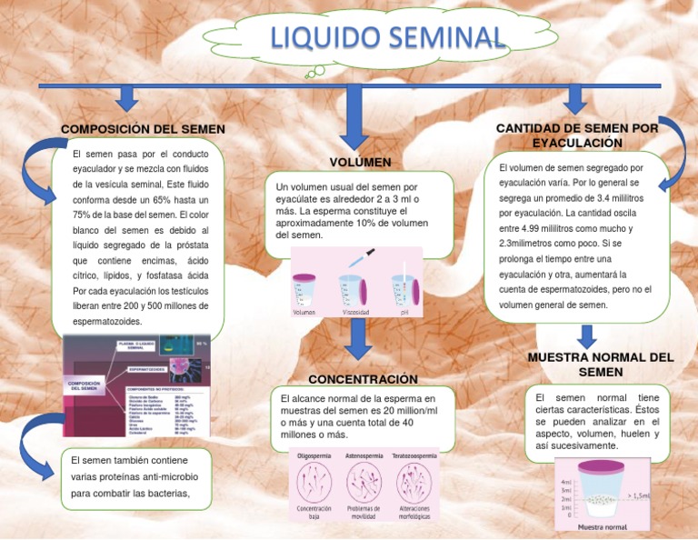 Liquido Seminal | PDF | Semen | Eyaculación