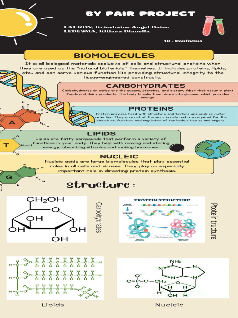 Colorful Illustrative DNA Day Science Educational Infographic | PDF