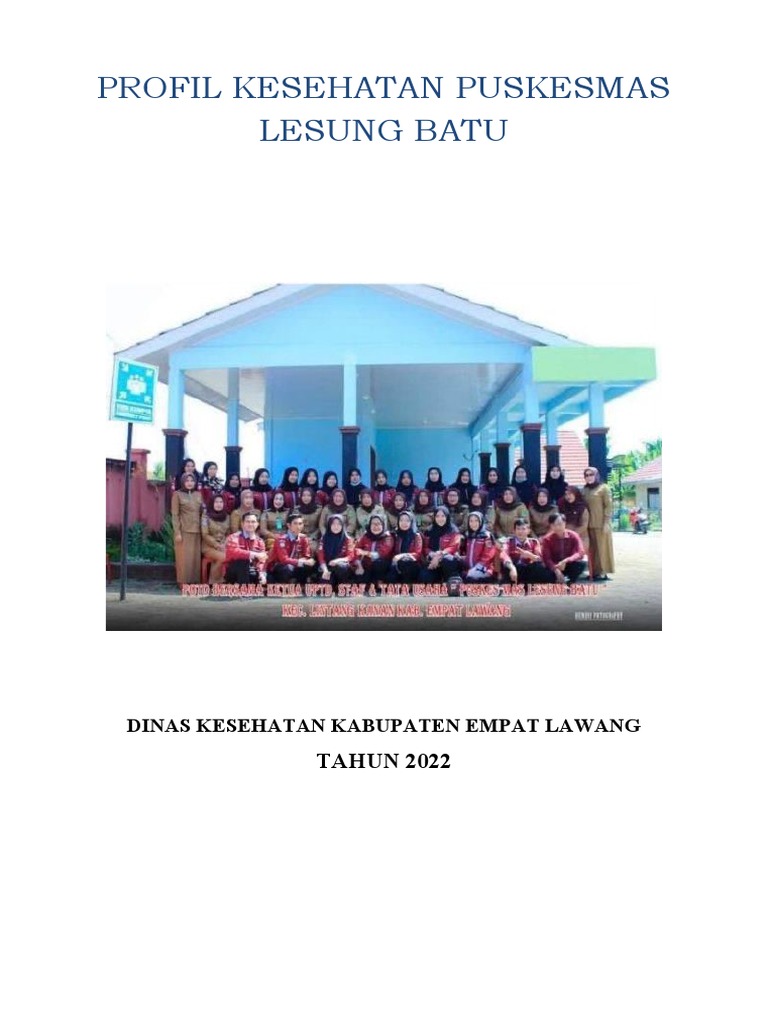 Profil Kesehatan Puskesmas Lesung Batu | PDF