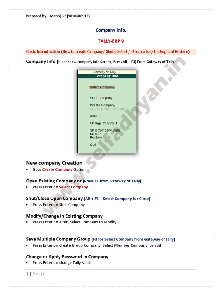 Company Info Details | PDF