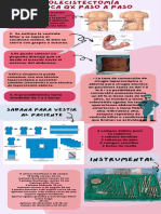 Anatomía y Fisiología Anorrectal | PDF | Recto | Sistema digestivo