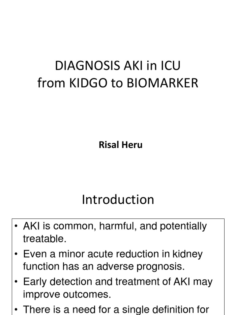2 - Diagnostic AKI in ICU From KDIGO To Blomaker | PDF | Creatinine | Chronic Kidney Disease