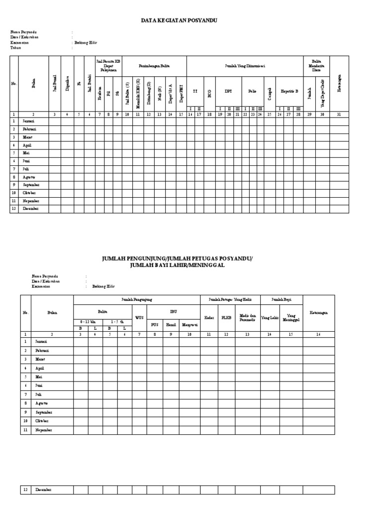 Data Kegiatan Posyandu | PDF