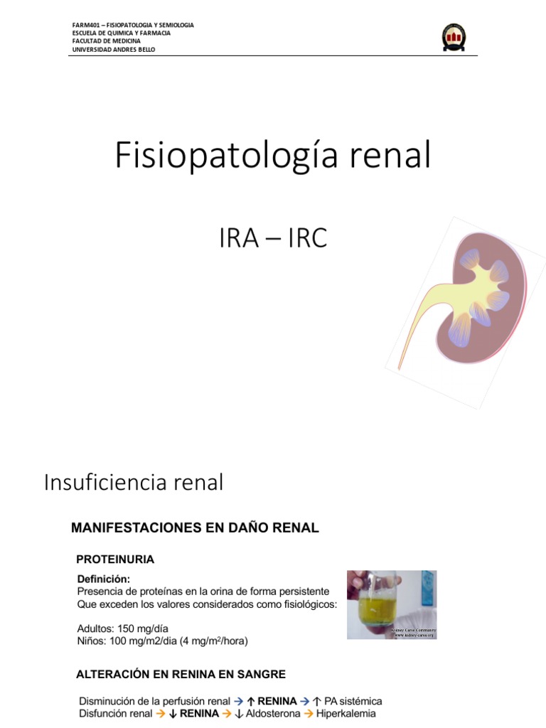 Renal Fisiopatología Unab | PDF | Enfermedad renal crónica | Riñón
