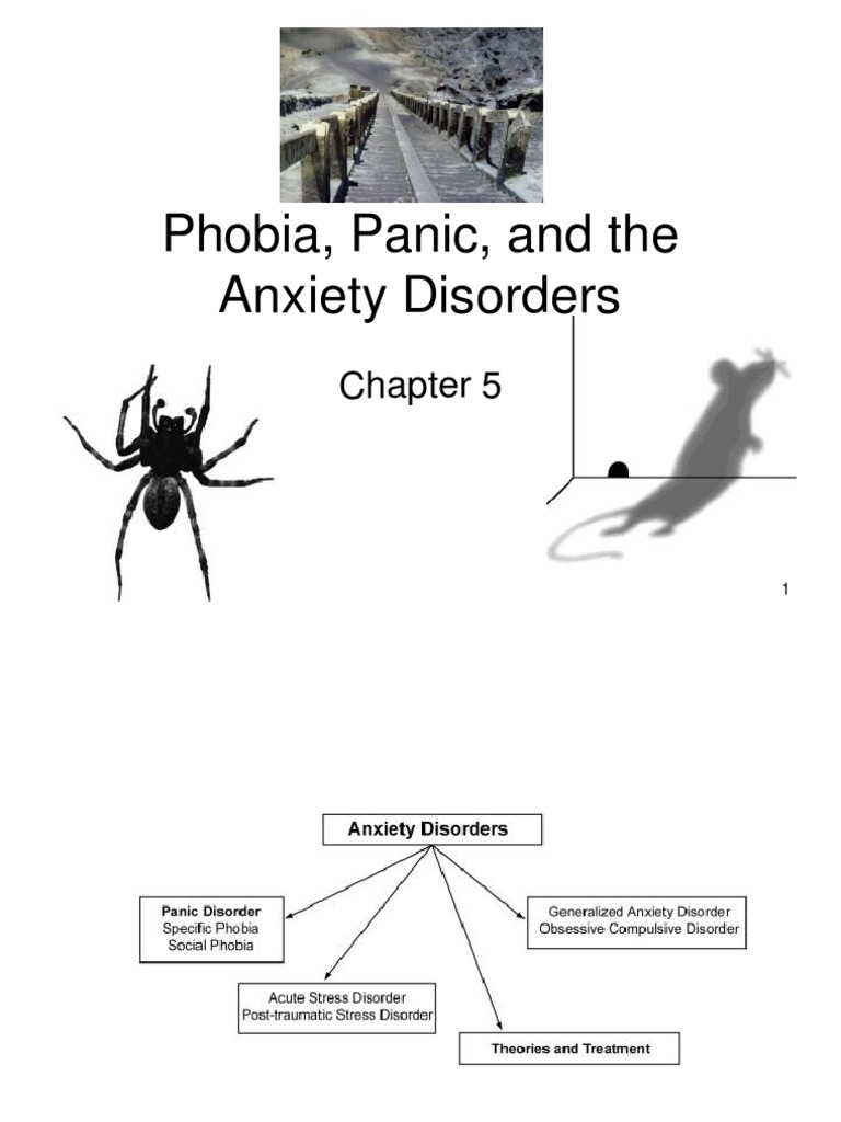 Panic, Phobia, and the Anxiety Disorders | PDF | Obsessive–Compulsive ...