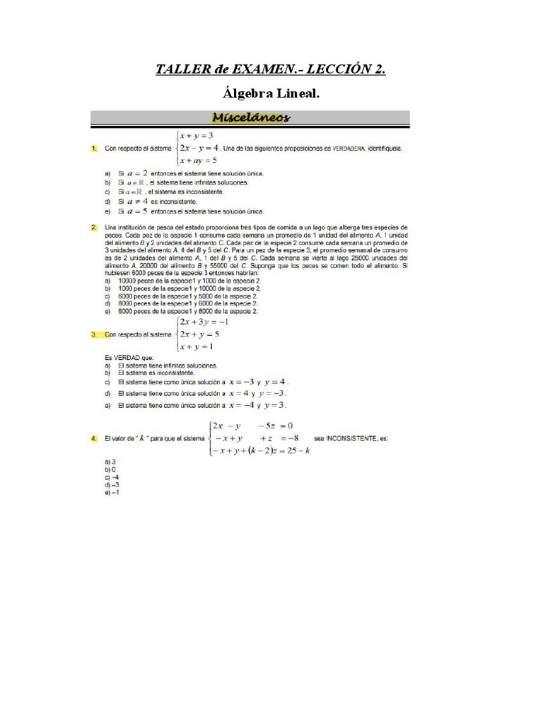 tALLER EXAMEN CAPÍTULO 2 | PDF