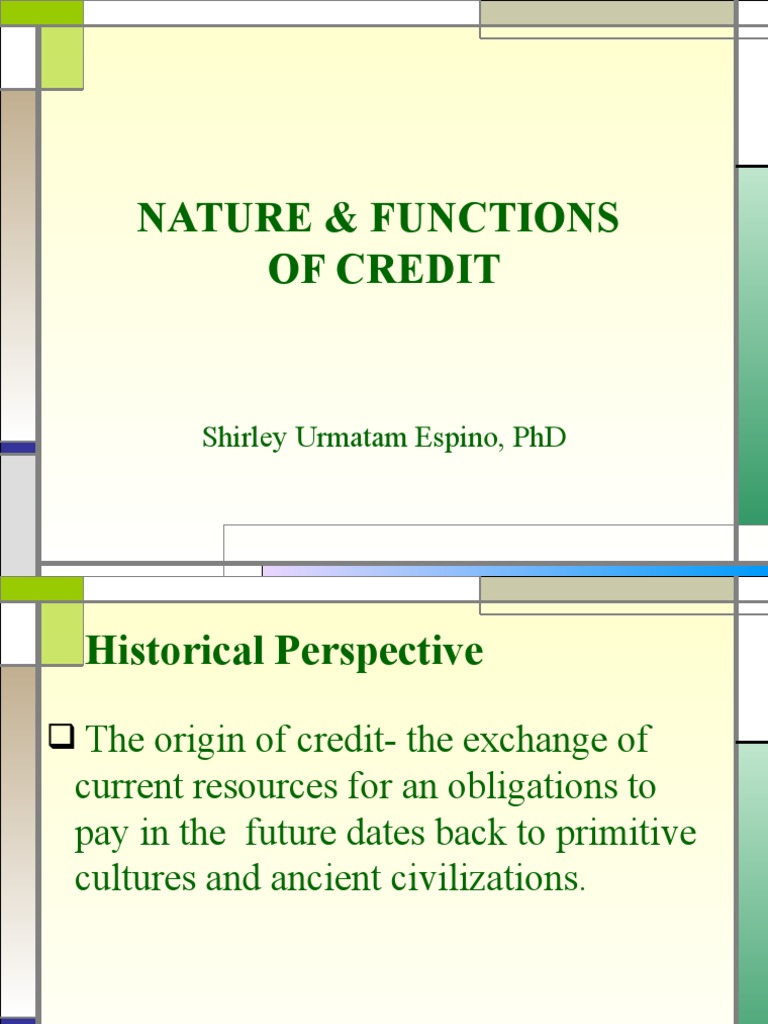 Nature Functions | Download Free PDF | Finance & Money Management | Credit