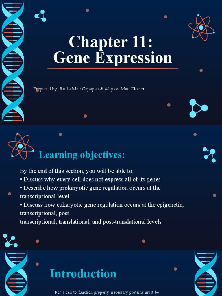 Chapter 11 Gene Expression Ppt | PDF | Gene Expression | Gene