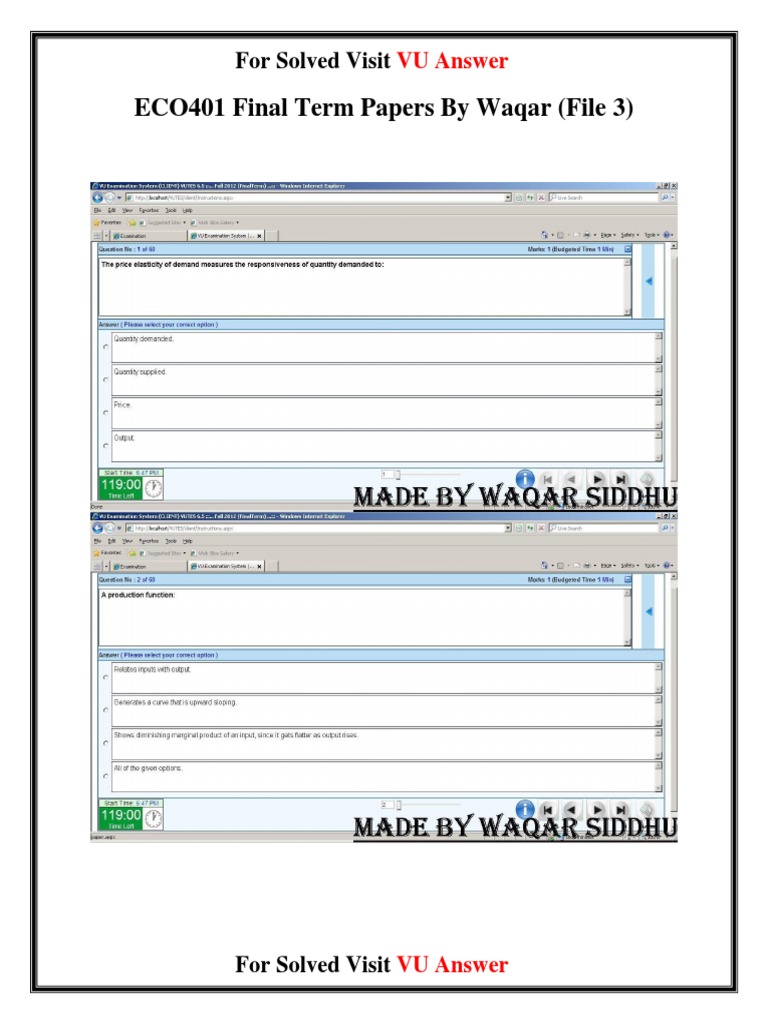 ECO401 Final Term Papers by Waqar (File 3) | PDF