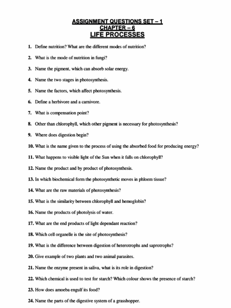 Class 10 Life Processes Assignment | PDF | Photosynthesis | Digestion