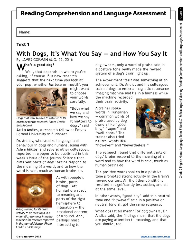 English Grade 7 Comprehension, Language Punctuation Exercise | PDF ...