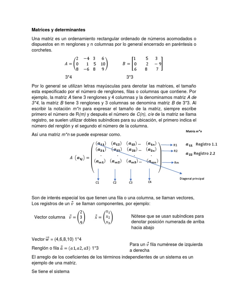 Matrices y Determinantes | PDF | Matriz (Matemáticas) | Determinante