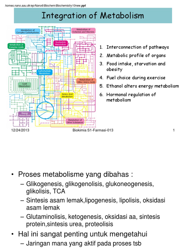 Integration of Metabolism | PDF | Glucose | Metabolism