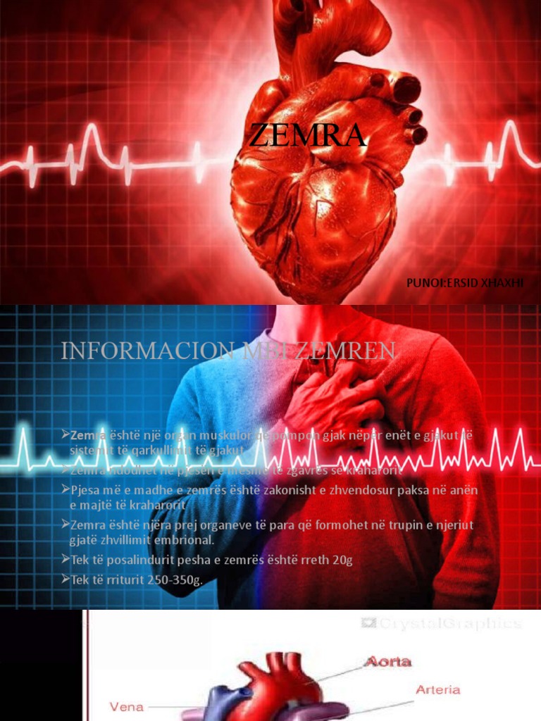 ZEMRA | PDF
