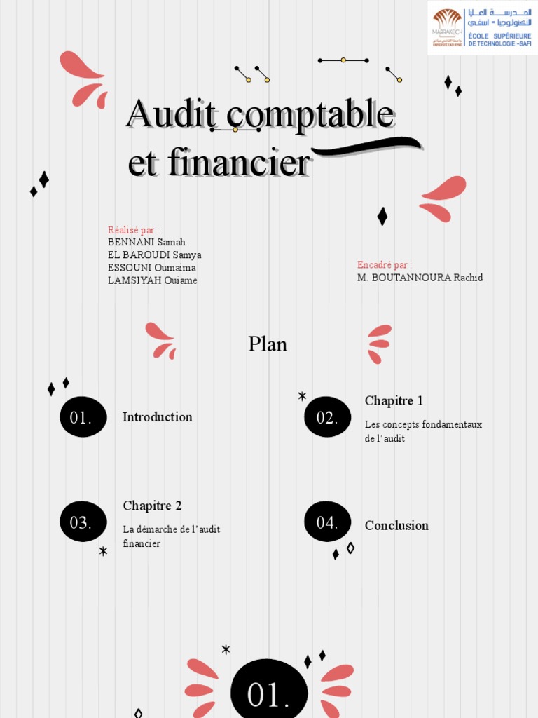 Audit | PDF | Audit financier | Audit