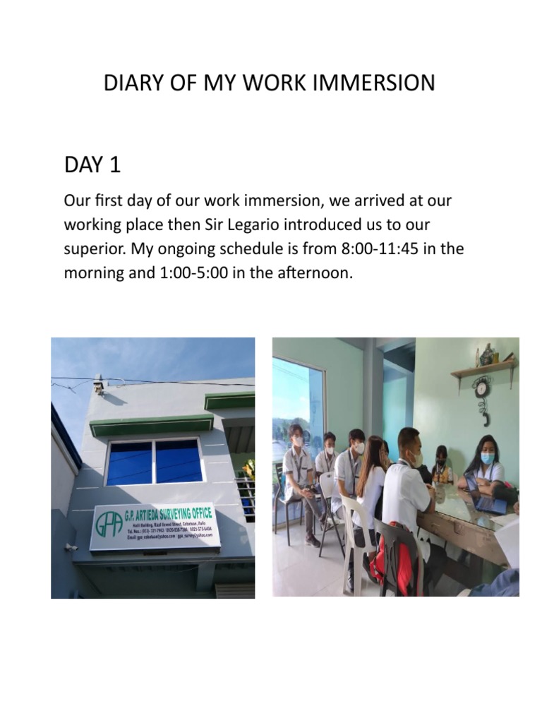 Diary of My Work Immersion | PDF