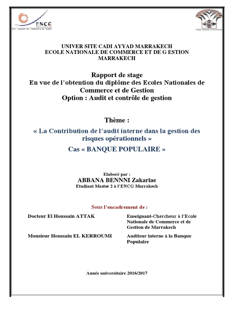 PFE AuditInterne BP | PDF | Risque opérationnel | Risque