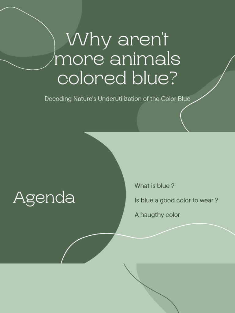 Decoding Nature's Underutilization of The Color Blue | PDF | Color