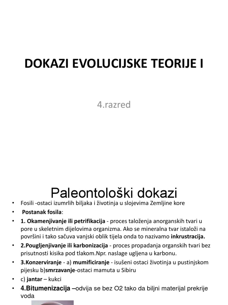 Dokazi Evolucijske Teorije | PDF
