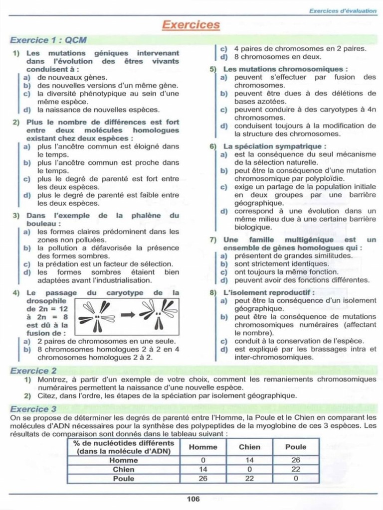 QCM SVT | PDF | Chromosome | Mutation