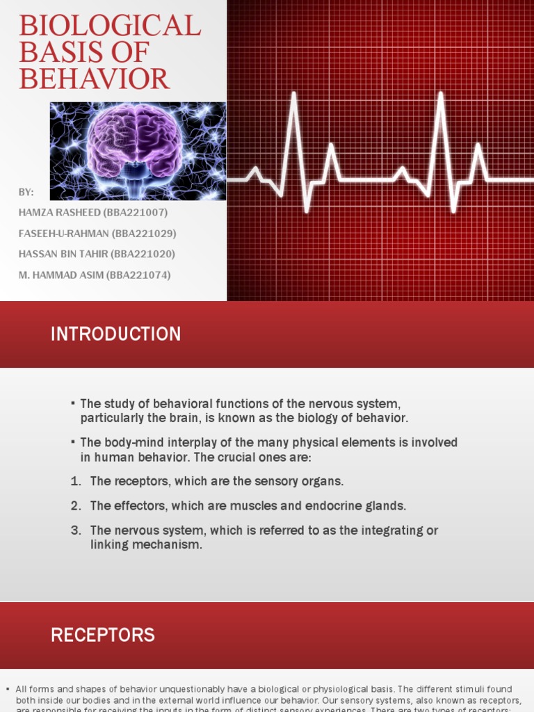 Biological Basis of Behavior | PDF | Nervous System | Neuron
