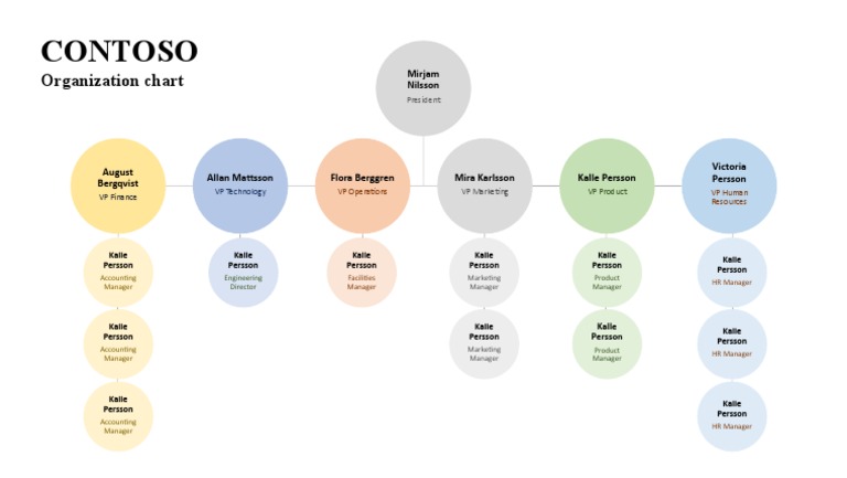 Contoso Organization Chart Overview | PDF