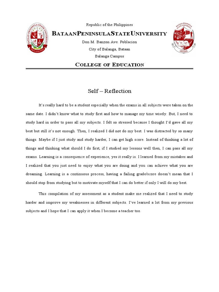 Self Assessment | PDF