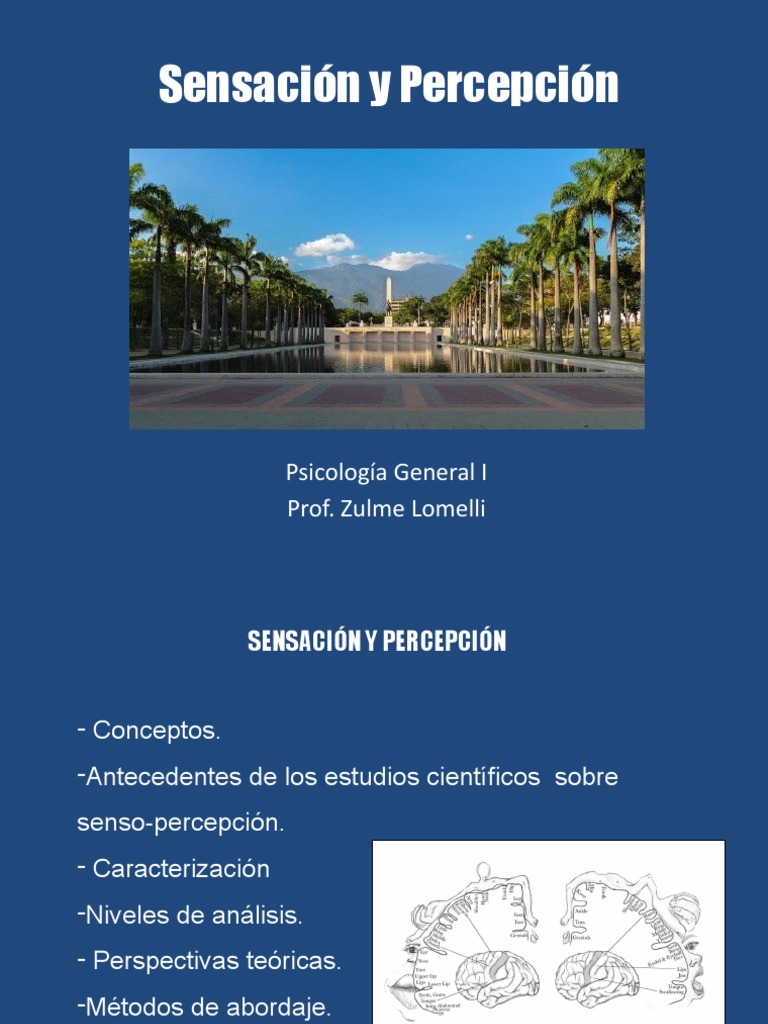 2 Sensopercepción | PDF | Percepción | Experiencia