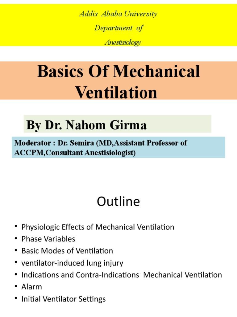 EX Basics of Mechanical Ventilation | PDF | Physiology | Diseases And ...