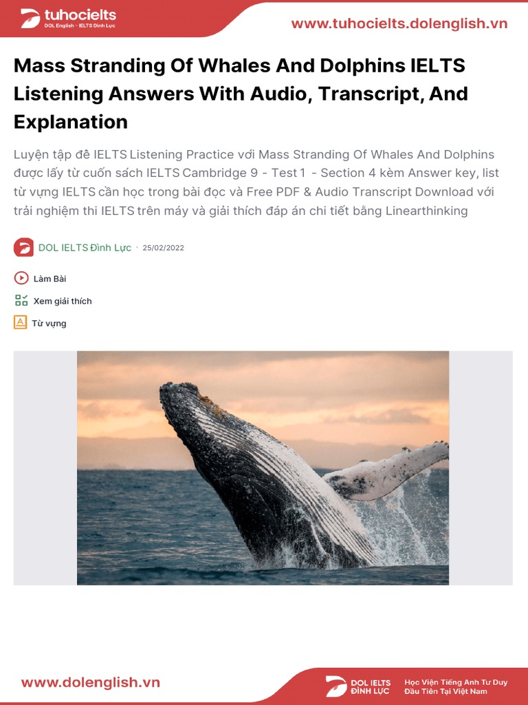 Mass_Stranding_Of_Whales_And_Dolphins | PDF | Marine Mammals | Cetaceans